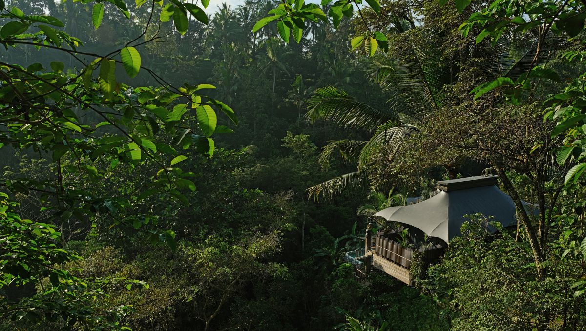 Capella Ubud Bali | Bali Destination Wedding Venues & Packages | My ...