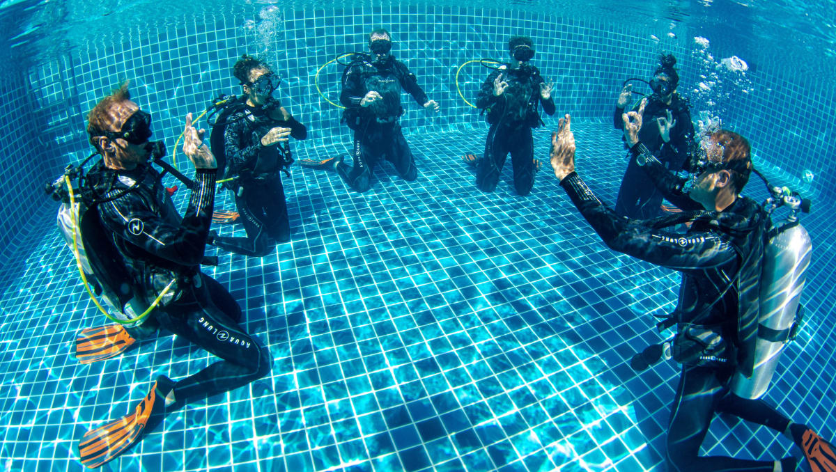 Meridian Adventure Dive Resort, Raja Ampat | Indonesia Destination ...