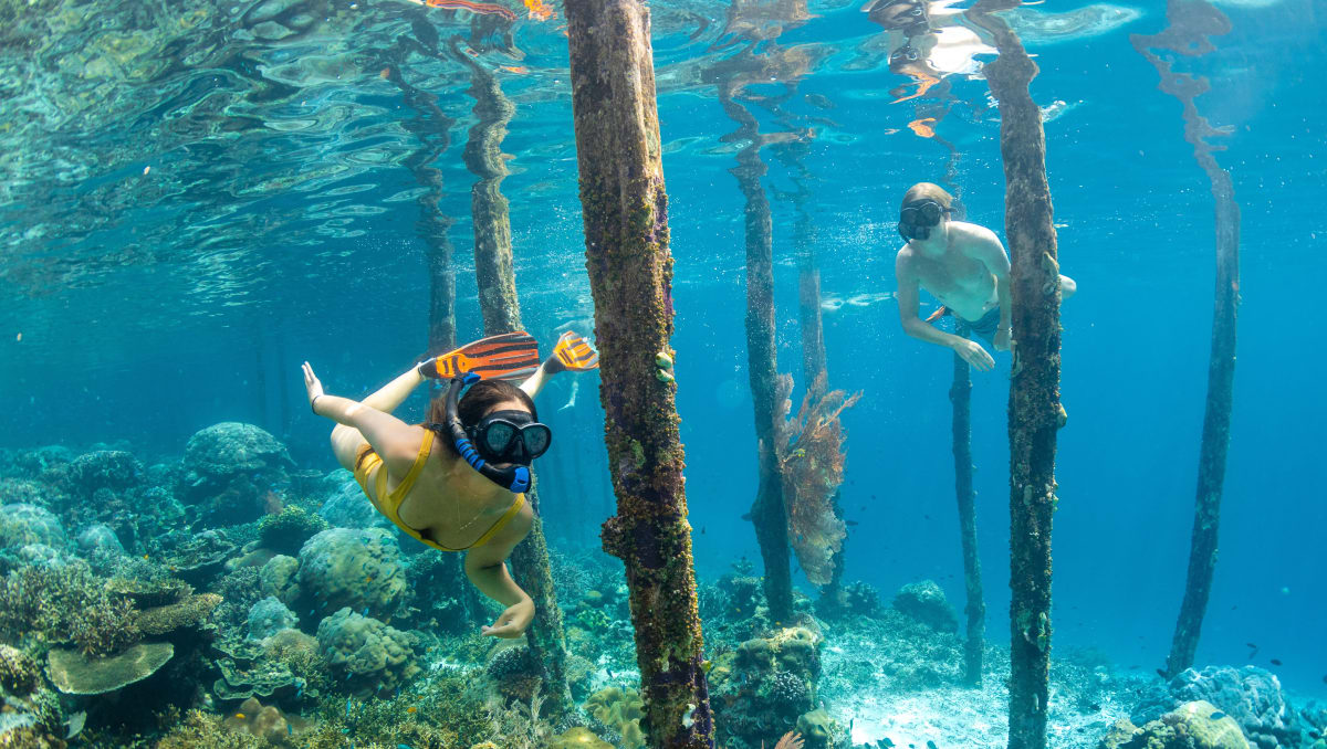 Meridian Adventure Dive Resort, Raja Ampat | Indonesia Destination ...