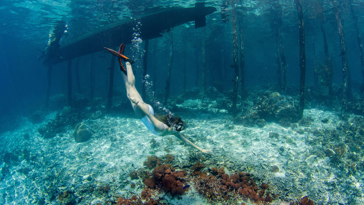 Meridian Adventure Dive Resort, Raja Ampat | Indonesia Destination ...