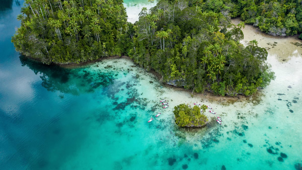 Meridian Adventure Dive Resort, Raja Ampat | Indonesia Destination ...