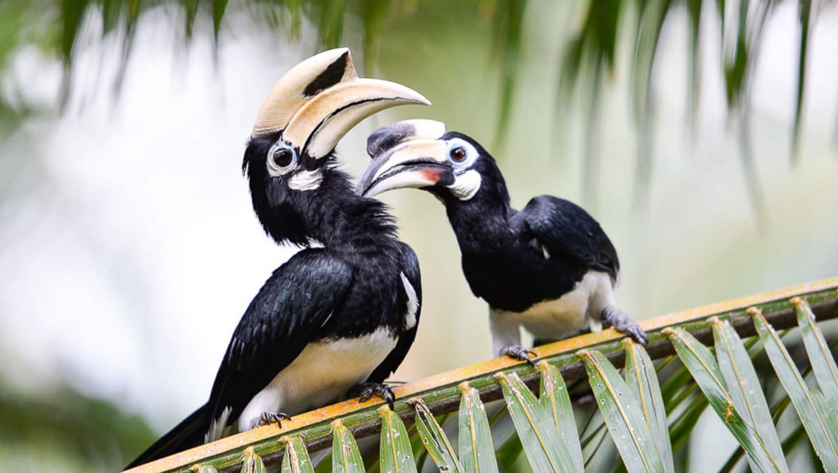 Paradise Koh Yao | Thailand Destination Wedding Venues & Packages | My Overseas Wedding